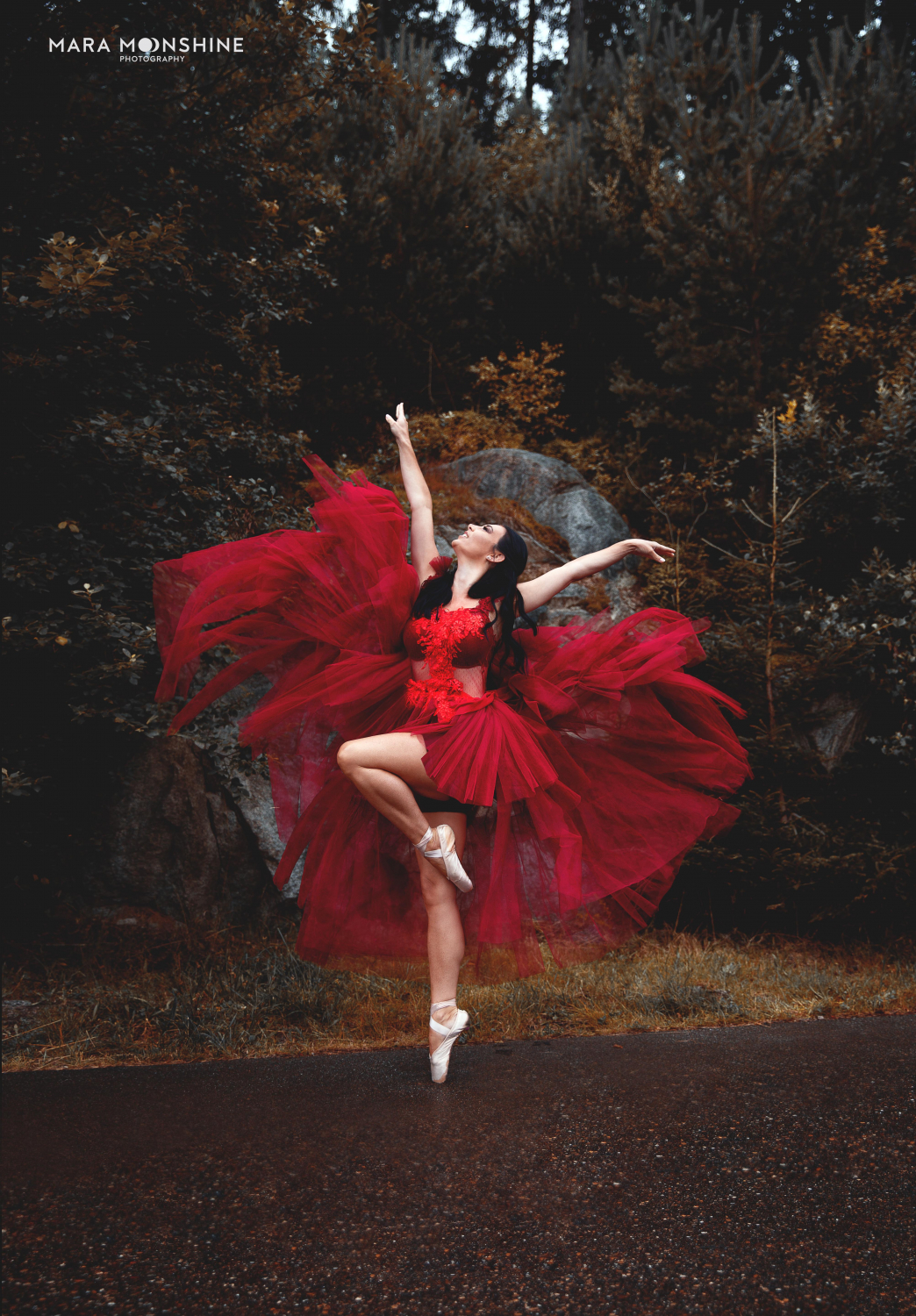 Kurse - Ballett Atelier Boos